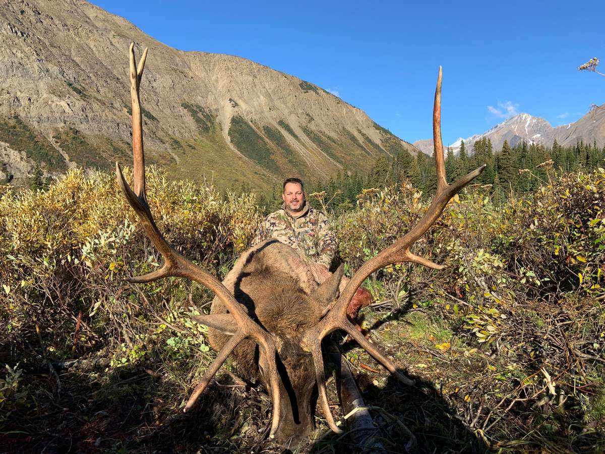 Guided Elk Hunts in British Columbia | Elk Hunting in the Rocky Mountains