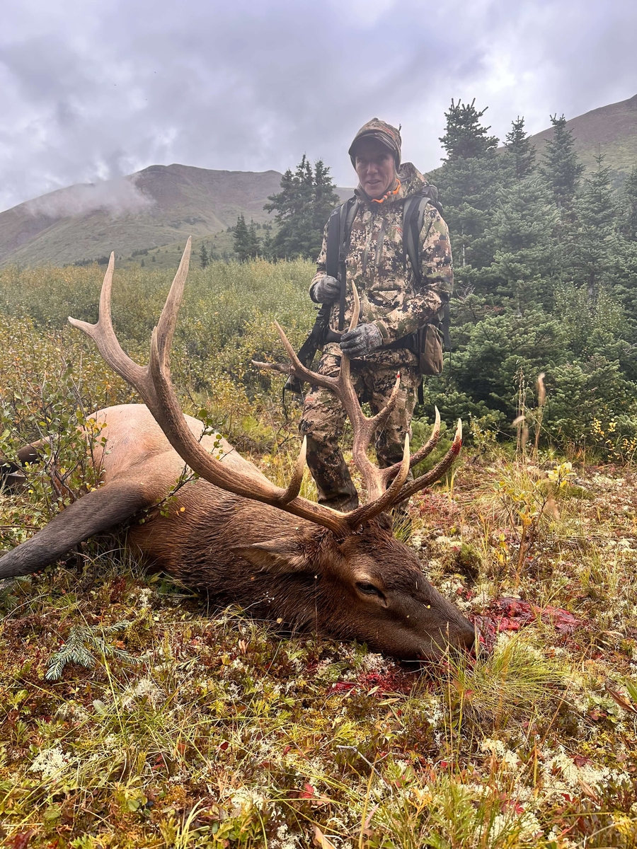 Guided Elk Hunts in British Columbia | Elk Hunting in the Rocky Mountains