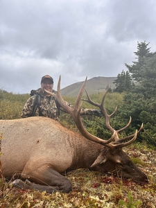Guided Elk Hunts in British Columbia | Elk Hunting in the Rocky Mountains